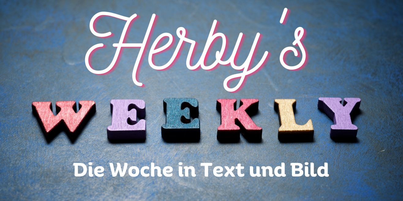 Sieben Tage in einem Blog #1 | BLOGHAUSGESCHICHTEN